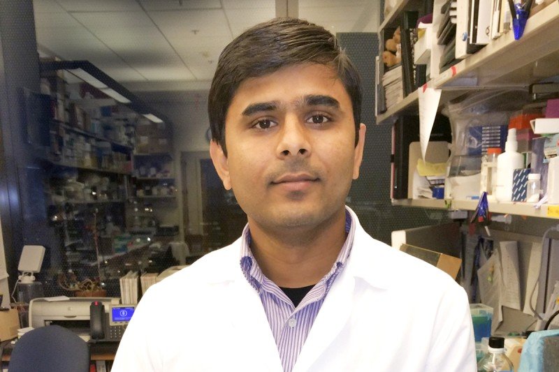 Mitesh Patel | Sloan Kettering Institute