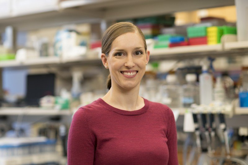 Allison Mayle | Sloan Kettering Institute