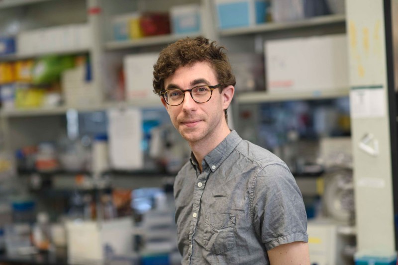 Sam Berman | Sloan Kettering Institute