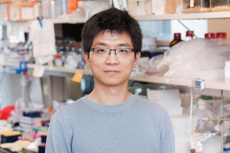 Chun Chou | Sloan Kettering Institute