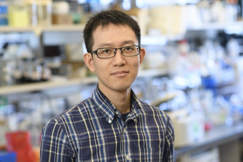 Lin Tian | Sloan Kettering Institute