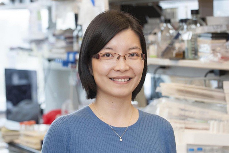 Wei Shi | Sloan Kettering Institute