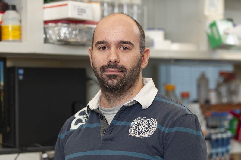 Matteo Ferrari | Sloan Kettering Institute