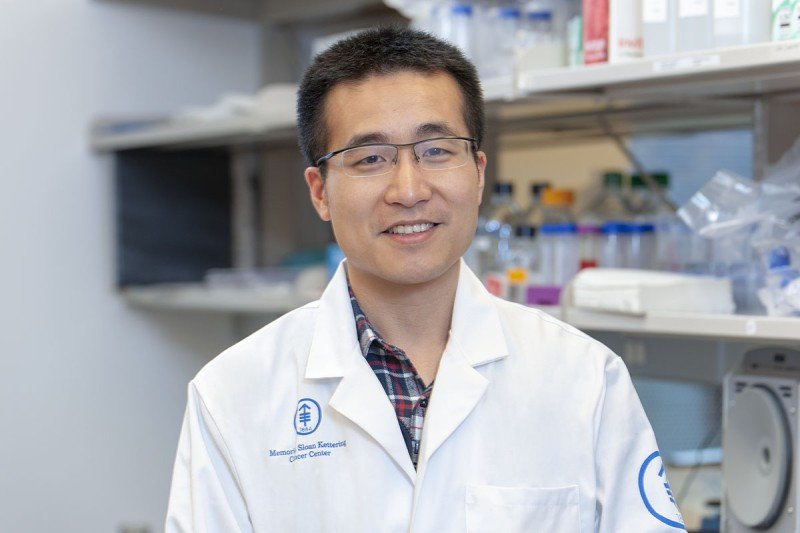 The Samuel Bakhoum Lab: Jun Li | Memorial Sloan Kettering Cancer Center