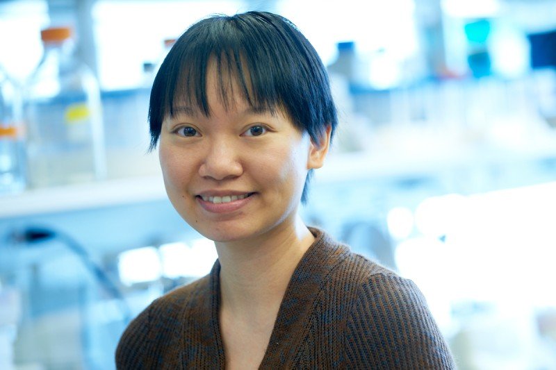 Elizabeth Lau | Memorial Sloan Kettering Cancer Center