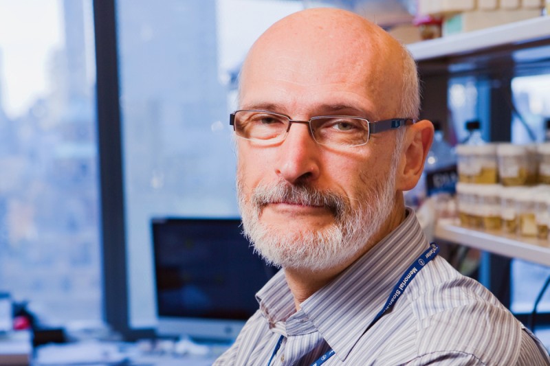 Alexander Rudensky Appointed Immunology Program Chair | Memorial Sloan ...
