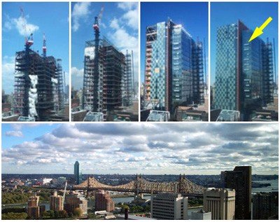 Derek Tan: Research Overview | Sloan Kettering Institute