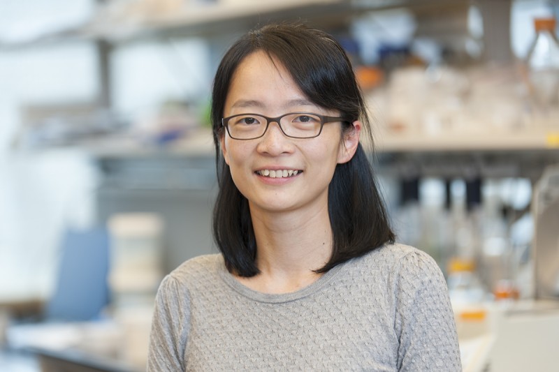 Shih-Han (Peggy) Lee | Sloan Kettering Institute