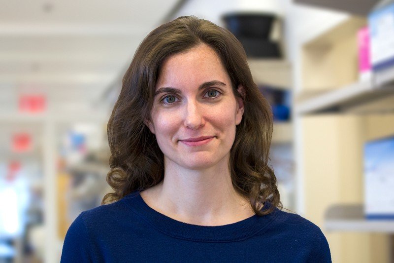 Adrienne Boire | Sloan Kettering Institute