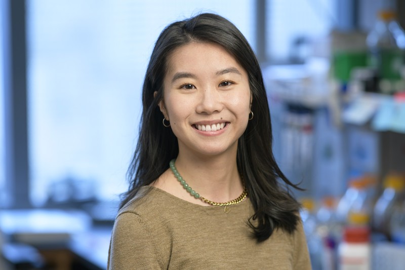 Wendy Lin | Sloan Kettering Institute