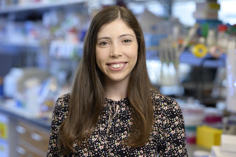 Sarah Perlee | Sloan Kettering Institute