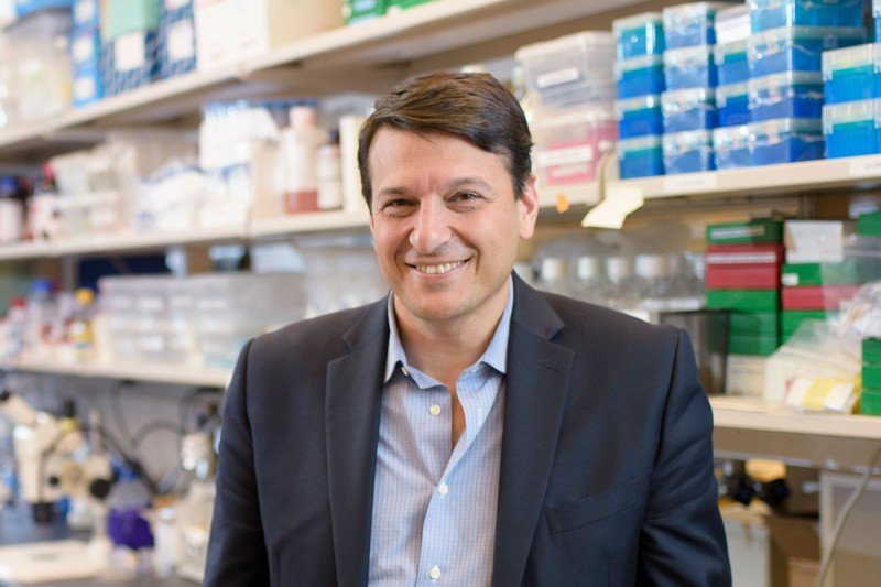 Breast Implants and Cancer: What Patients Need to Know | Memorial Sloan ...
