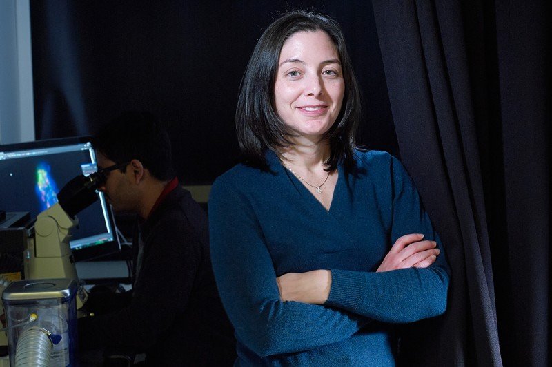 At Work: Cell Biologist Emily Foley | Memorial Sloan Kettering Cancer ...