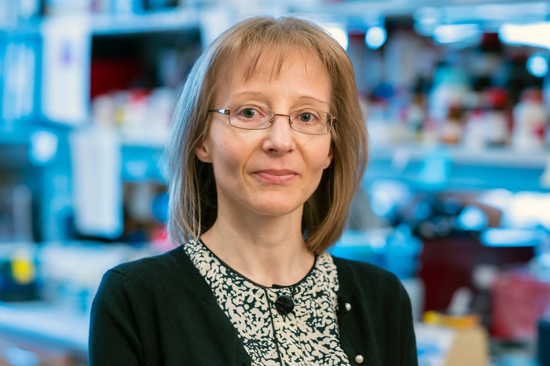 2021 Annual Report: The Society of Memorial Sloan Kettering Cancer ...