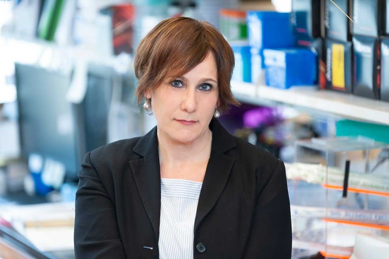 MSK Awards & Appointments December 2022 | Memorial Sloan Kettering ...