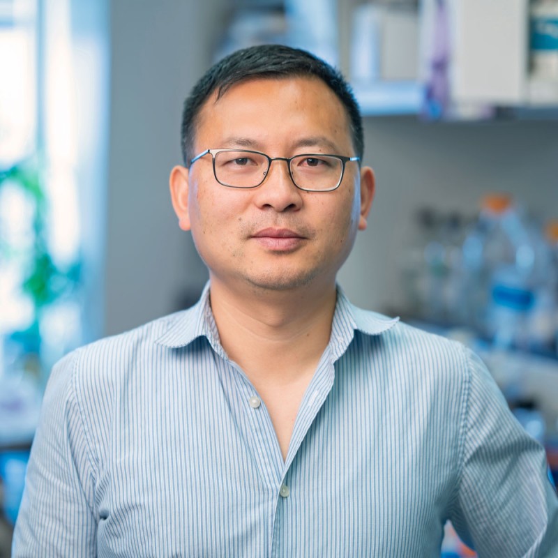 Xianming Wang | Sloan Kettering Institute
