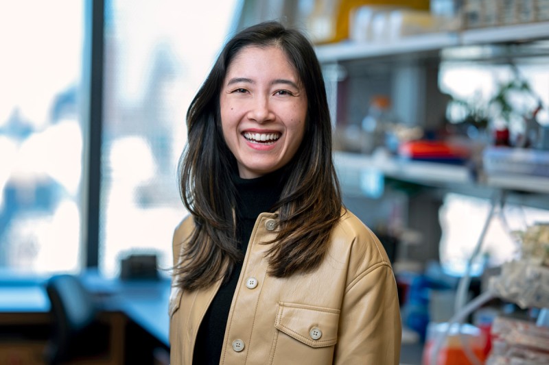 Katrina Hawley | Sloan Kettering Institute