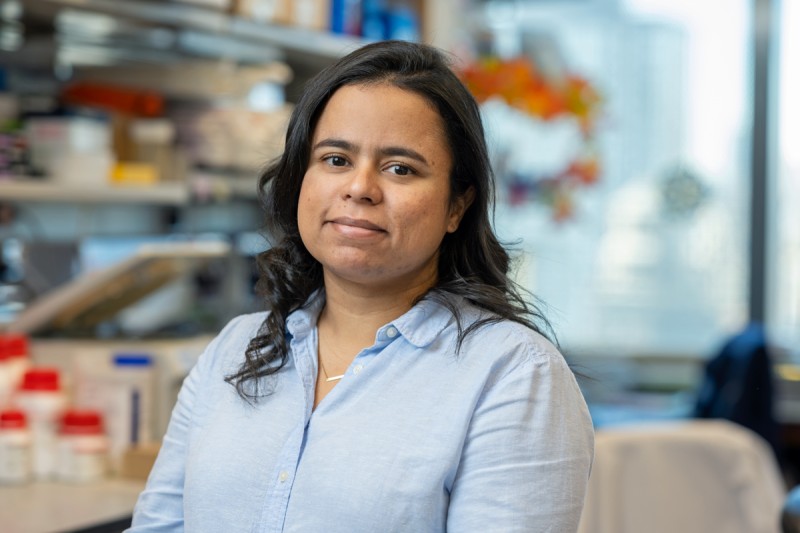 The Alan Hanash Lab: Marina Burgos da Silva | Memorial Sloan Kettering ...