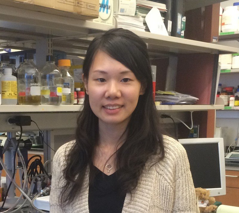 Jessica Pan | Sloan Kettering Institute