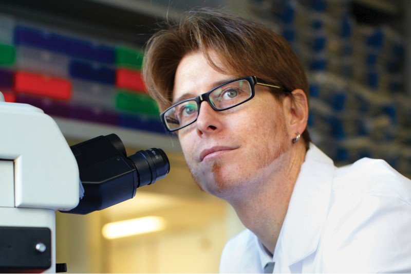 Molecular Pathology & Diagnostics | Memorial Sloan Kettering Cancer Center