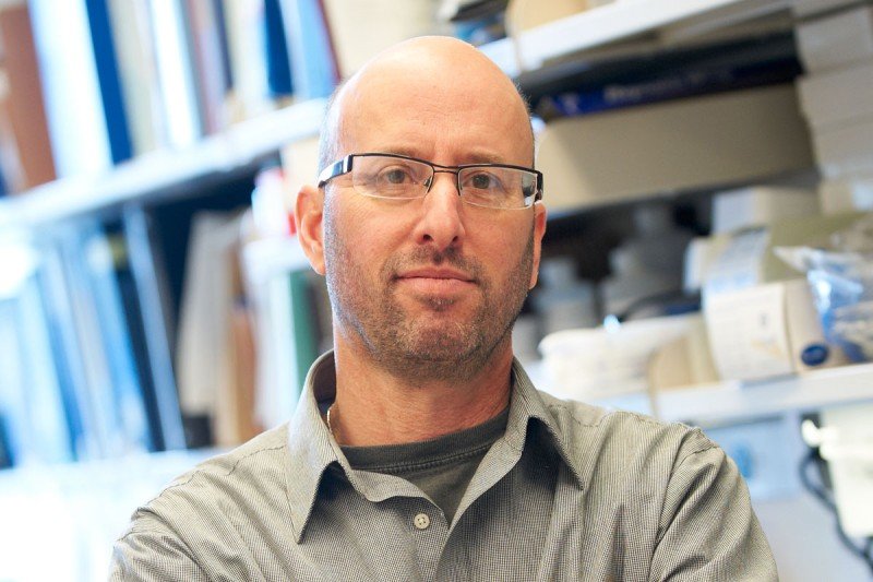 Paul DeRoos | Sloan Kettering Institute