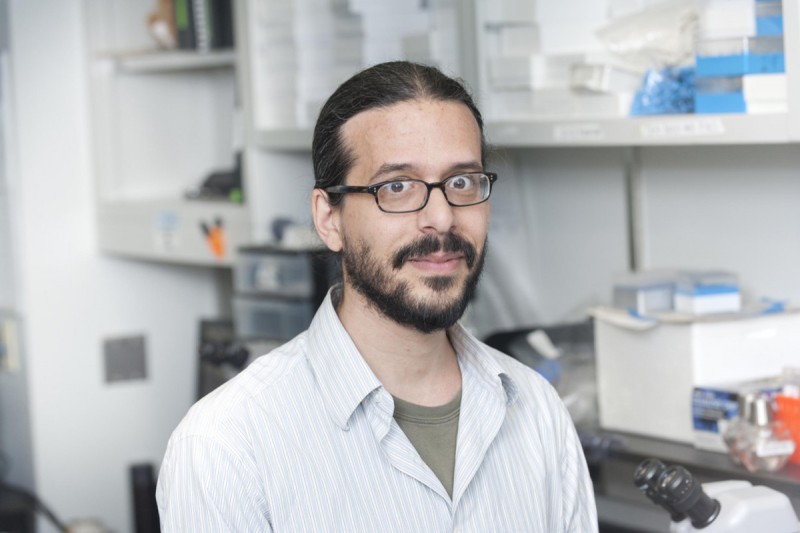 Anthony Santella | Sloan Kettering Institute