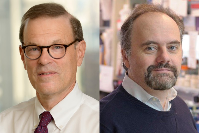 International Precision Oncology Tumor Board: MSK & Sir HN Reliance ...