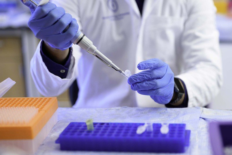 MSK Bridge Program | Memorial Sloan Kettering Cancer Center