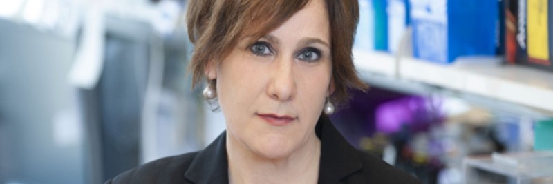 Cancer Immunologist Andrea Schietinger of Sloan Kettering Institute ...