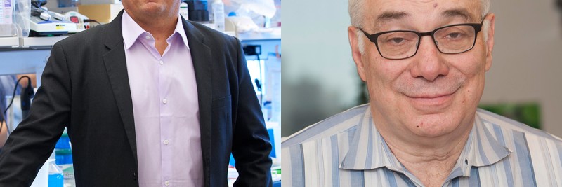 Scott W. Lowe: Featured News | Sloan Kettering Institute