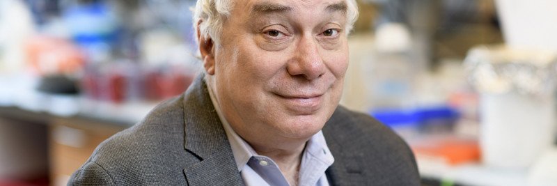 2021 Annual Report: After Four Decades, a Breakthrough for Lung Cancer ...