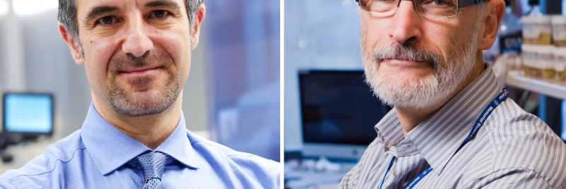 Alexander Rudensky: Featured News | Sloan Kettering Institute