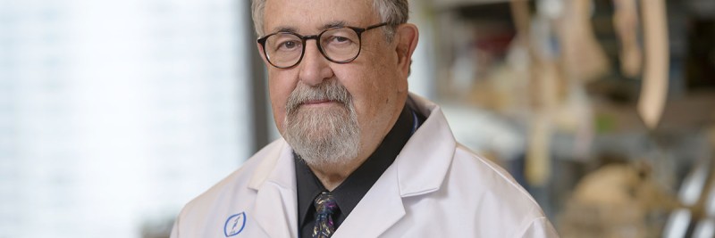 Noninvasive Diagnosis and Quantitation of Multi-drug Resistance by PET ...