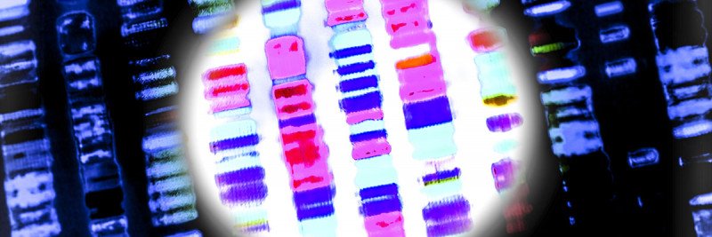 Why Choose MSK’s Clinical Genetics Service for Genetic Counseling and ...