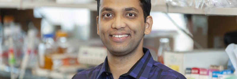 Molecular Pathogenesis of M. tuberculosis infection | Sloan Kettering ...