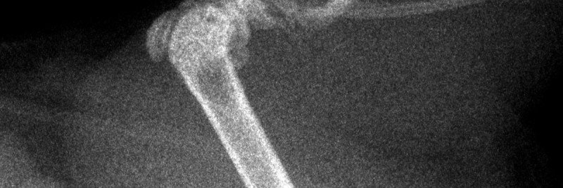 The Alan and Sandra Gerry Metastasis and Tumor Ecosystems Center ...