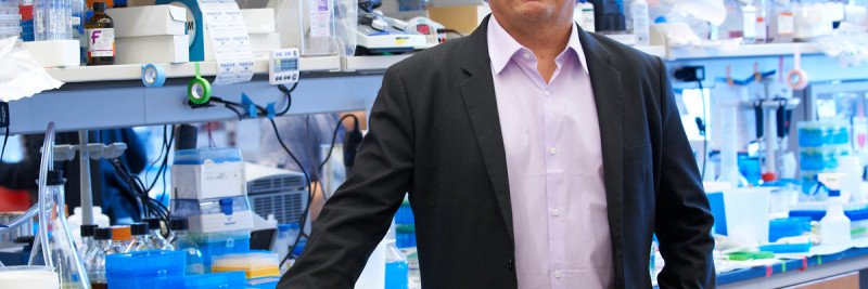 Scott W. Lowe: Featured News | Sloan Kettering Institute