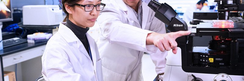 Xuejun Jiang: Featured News | Sloan Kettering Institute