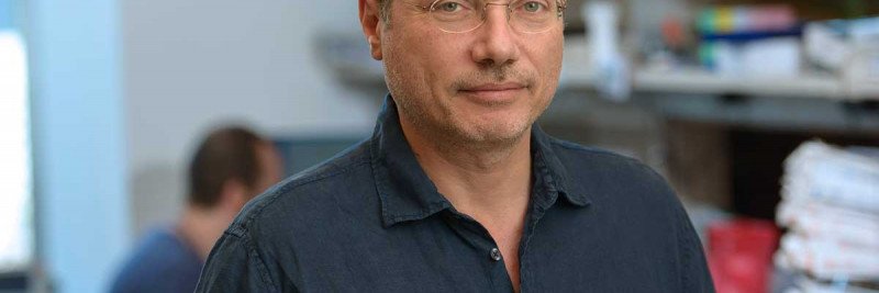 Frederic Geissmann: Featured News | Sloan Kettering Institute