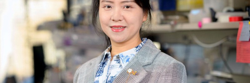 Yanan Ma | Sloan Kettering Institute