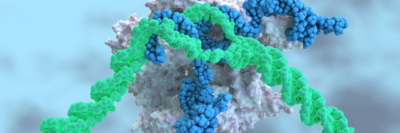 FDA Authorizes MSK-IMPACT Test for Analyzing Patient Tumors | Memorial ...