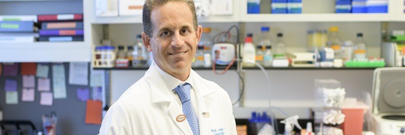 Promising New Treatment for Myelofibrosis Blood Cancer Using a ...