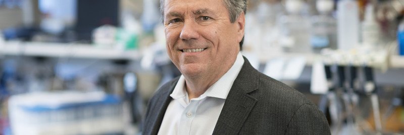 What Is Tumor Heterogeneity? | Memorial Sloan Kettering Cancer Center